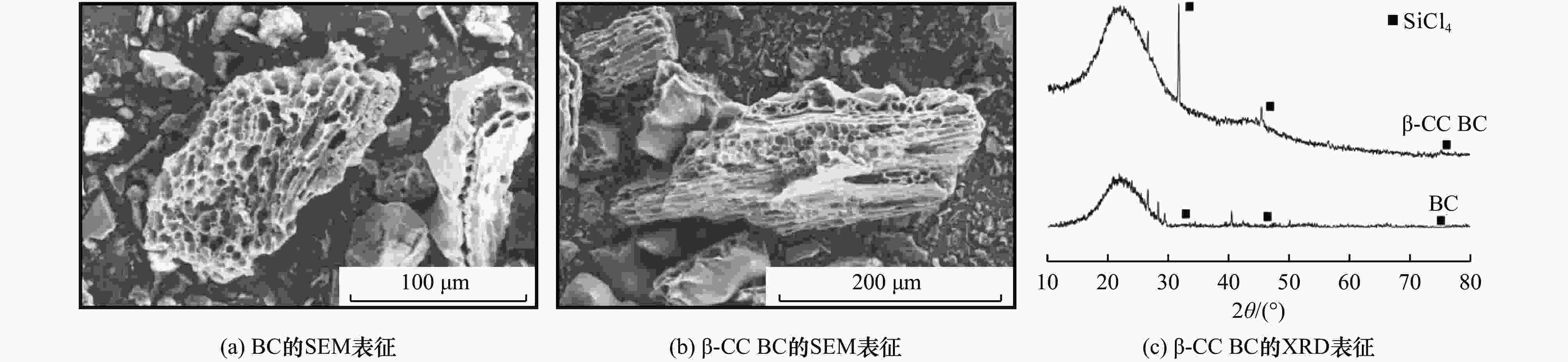β-环糊精壳聚糖改性生物炭固化稳定化土壤中镉和铬